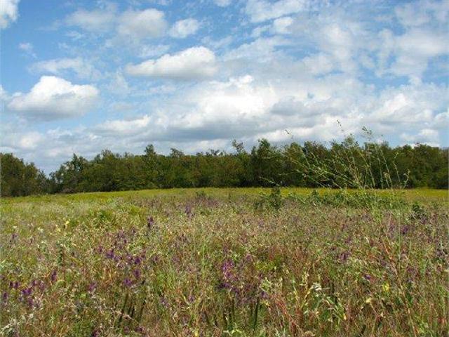 Soper, OK Choctaw Country Land 145.700000 acre for sale in Soper, Oklahoma
