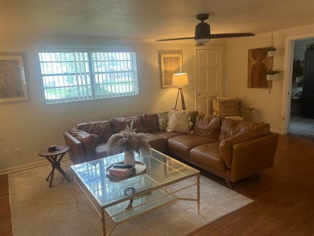 South Tampa Room w/Bathroom $1,000