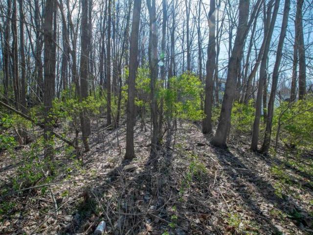 South Bend IN 46614 LS101252451