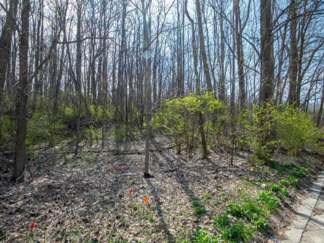 South Bend IN 46614 LS101252453