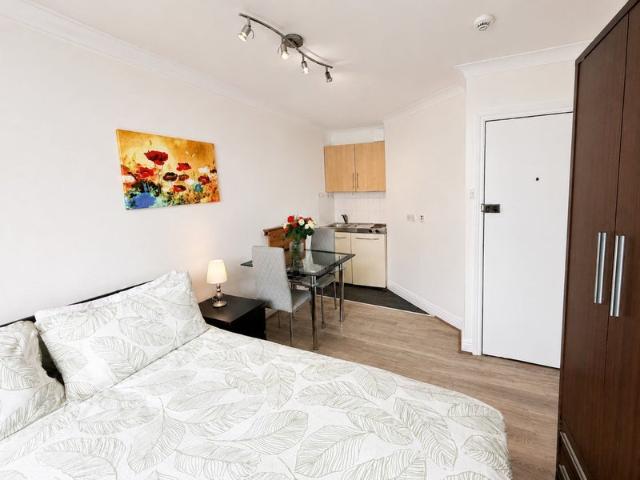 South Facing Double Studio Flat 10mins walk to IC