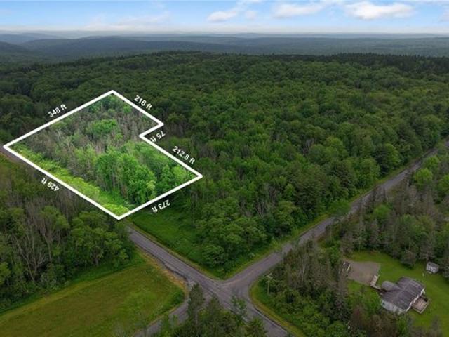 South Rd Lot C, Brooktondale, NY 14817