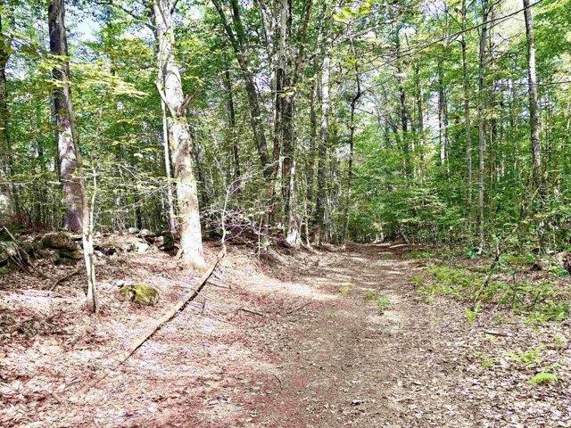 South Rd Lot,hopkinton, Plot For Sale