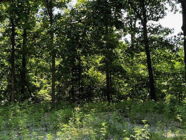 Southborough Ln Lot 6, Bella Vista, AR 72714
