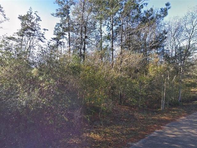 Southdown Dr Lot 295, Pearl River, LA 70452