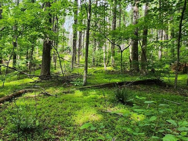 Southern View Trl Lot 45, Fancy Gap, VA 24328