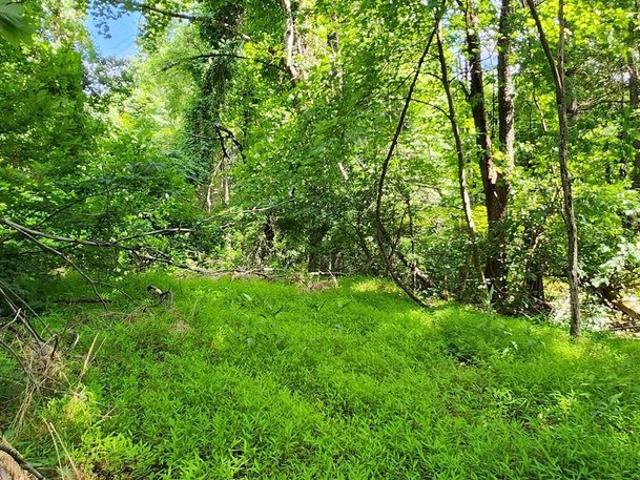 Southern View Trl Lot 65, Fancy Gap, VA 24328