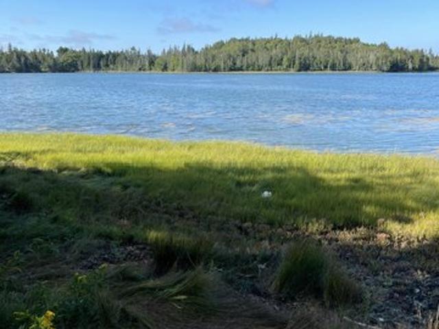 Southern Harbor Cv Lot 1, North Haven, ME 04853