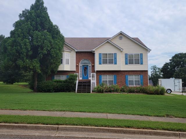 Southern Magnolia Ln