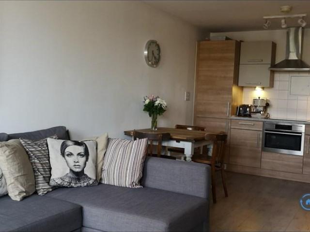Southwark Bridge Road, London, SE1 2 bed flat to rent £2,700 pcm £623 pw