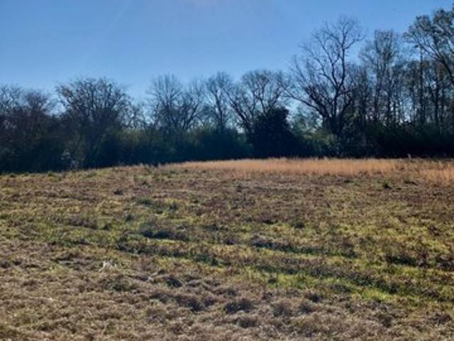 Southconnecuh St, Greenville, AL 36037