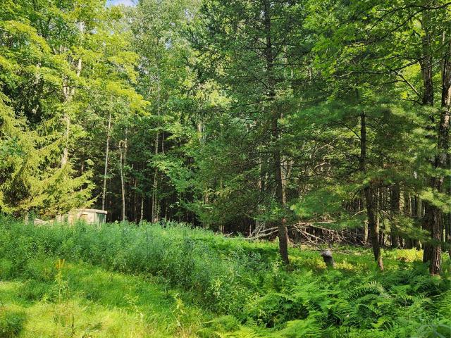 Soule Road