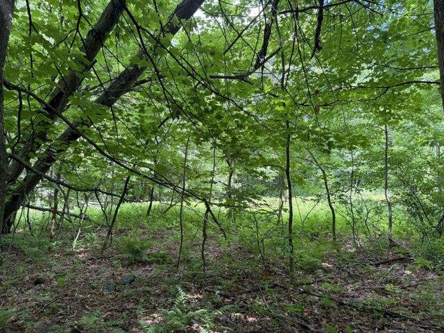 Soules Hill Rd, Plot For Sale
