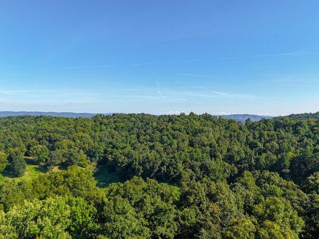 Sourwood Ln, Sharps Chapel, TN 37866