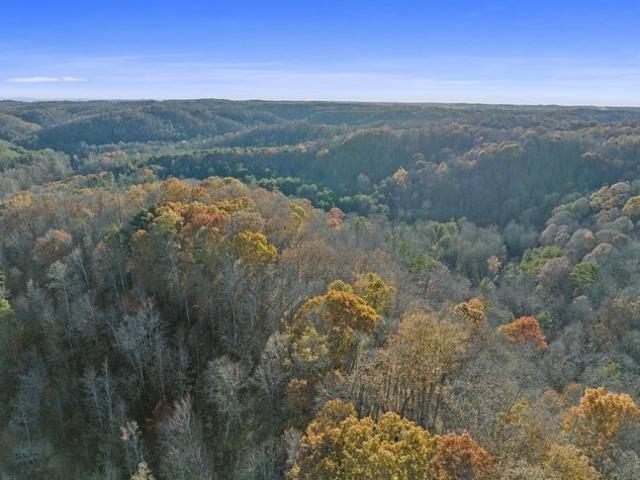 Slate Lick Rd, London, KY 40741