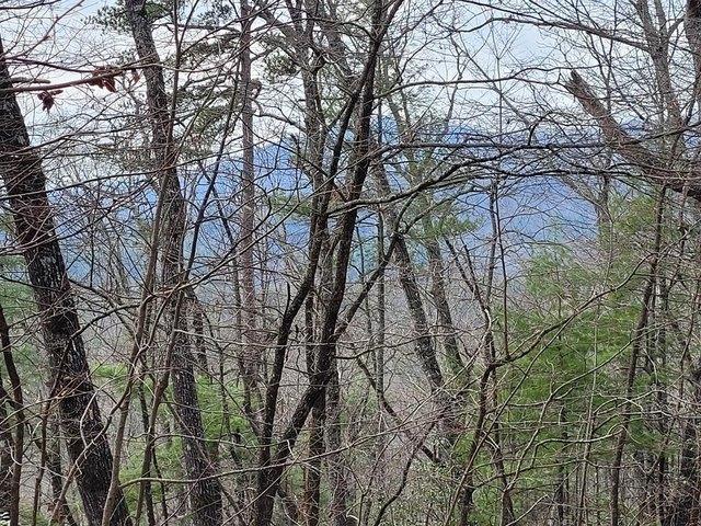 Slate Stone Ln Lot 49, Hayesville, NC 28904