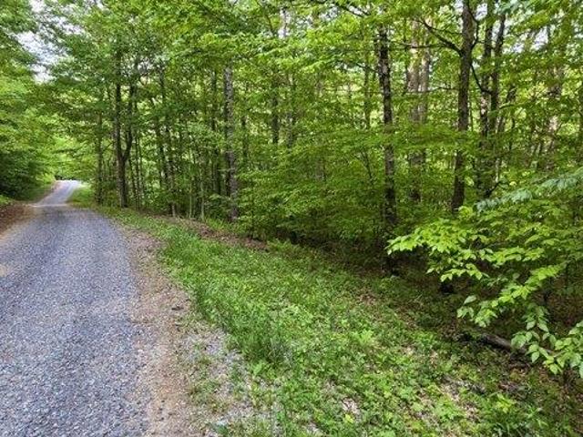 Slatyfork WV 26291 104898558