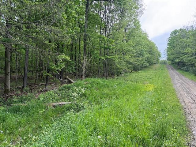 Slew Road