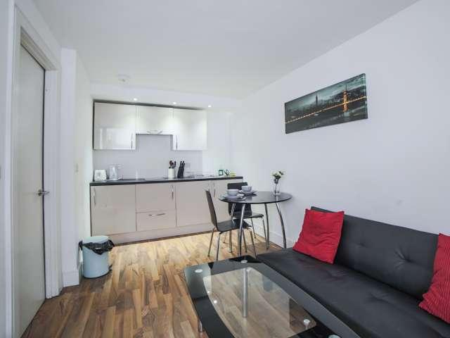 Sleek studio flat to rent in Bermondsey, London