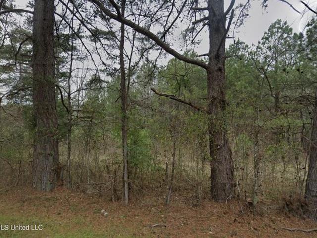 Sleepy Hollow Rd Lot 33, Terry, MS 39170