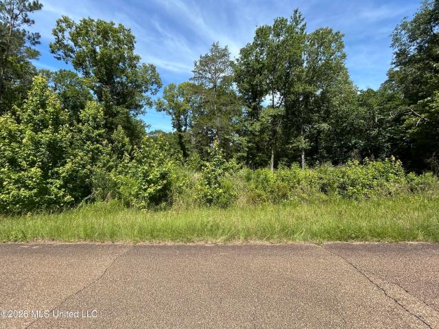 Sleepy Hollow Road, Terry, MS 39170