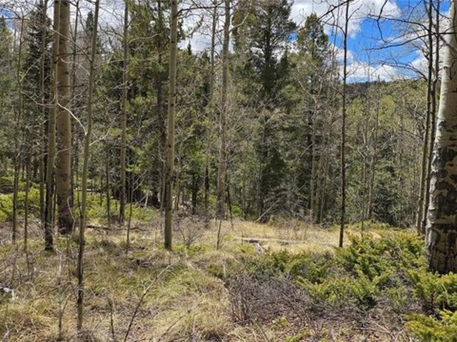 Slegers Rd Lot 5853, Fort Garland, CO 81133