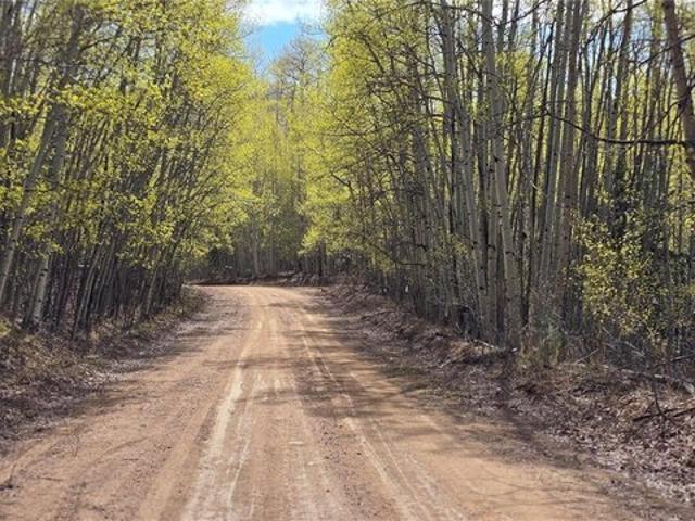Slegers Rd Lot 5902, Fort Garland, CO 81133