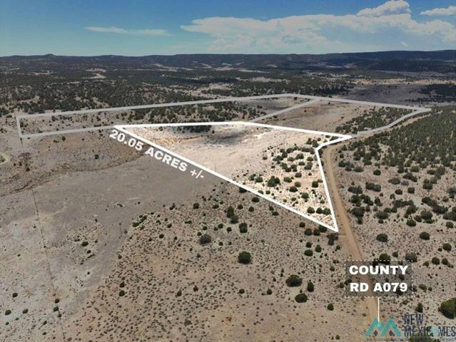 Slurry Rd, Pie Town, NM 87827