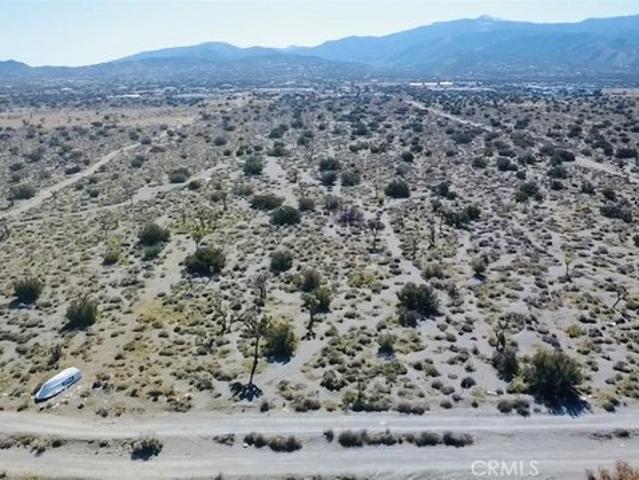 Smoke Tree, Pinon Hills, CA 92372
