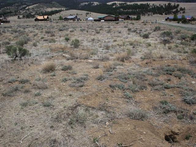 Smokey Bear Dr, Eagle Nest, NM 87718
