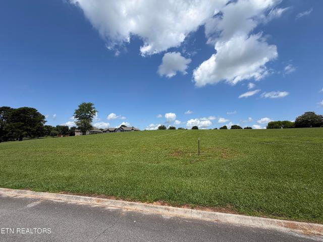 Smokey View Drive, Kodak, TN 37764