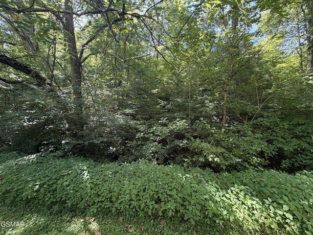 Smoky Mountain Way Lot 14, Sevierville, TN 37876