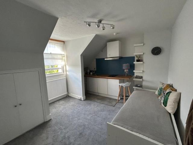 Small beautiful furnished Studio in Chiswick