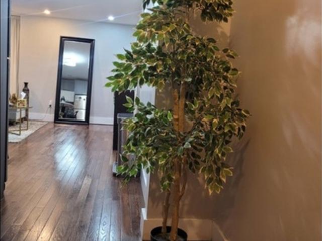 Small bedroom large closet available