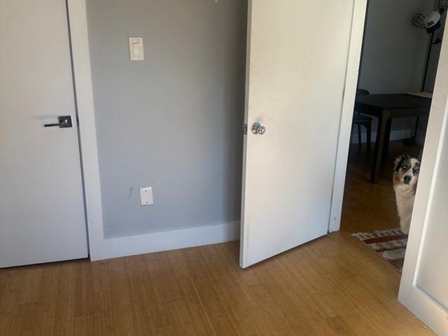 Small in Crown Heights