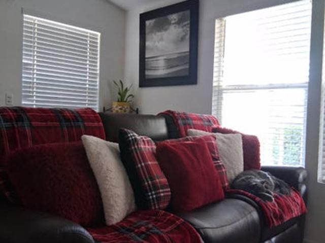 Small Room In Concord With Cats