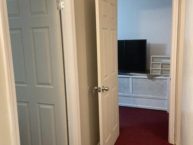 Small room with closet for FEMALE animal lover