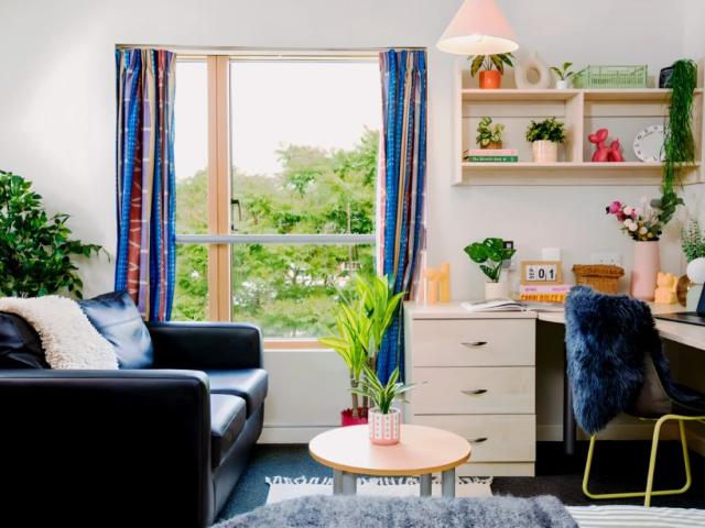 Small Studio