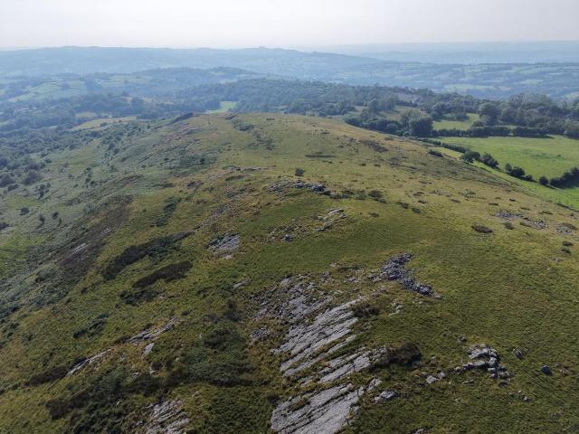 Smallholding for sale