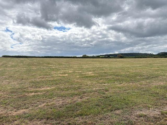 Smallholding for sale