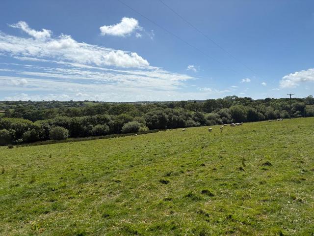 Smallholding for sale