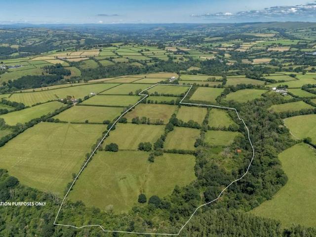 Smallholding for sale