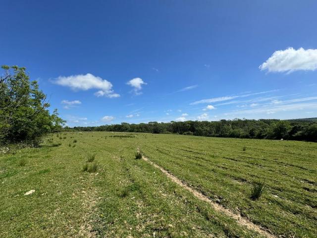Smallholding for sale