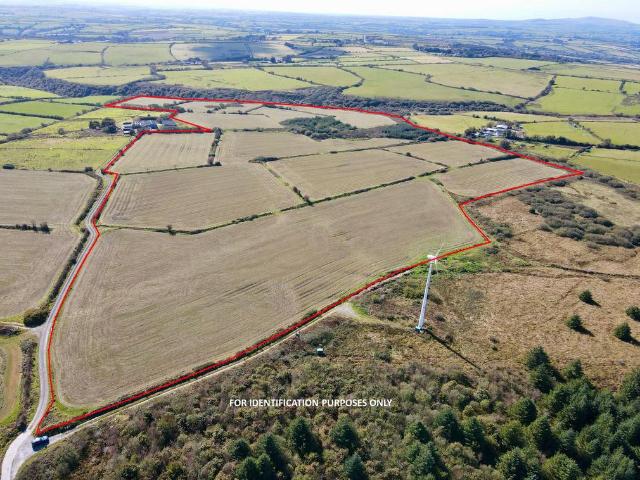 Smallholding for sale