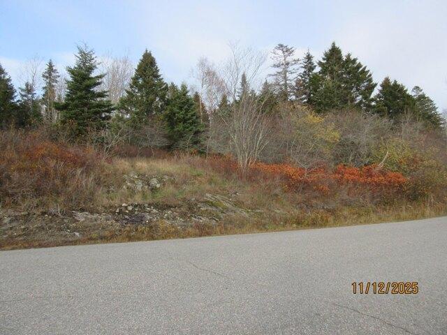 Smalls Point Rd Lot,machiasport, Plot For Sale