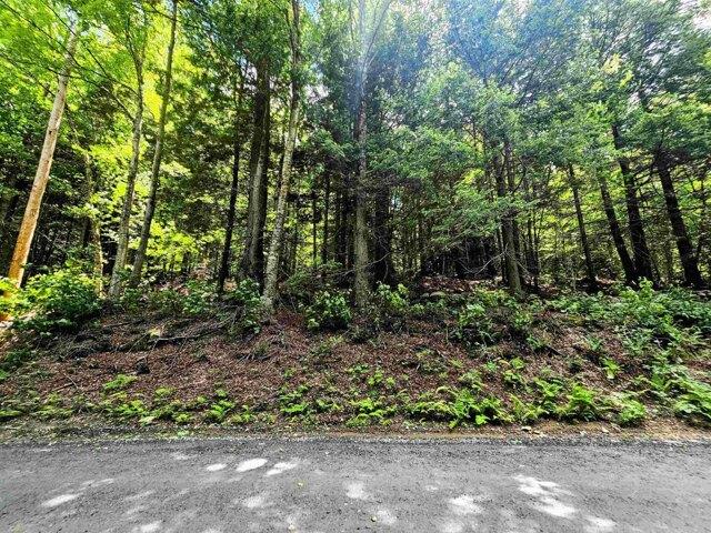 Smead Rd, Wardsboro, Plot For Sale