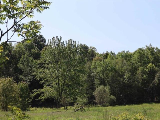 Smead Rd Lot,salisbury, Plot For Sale