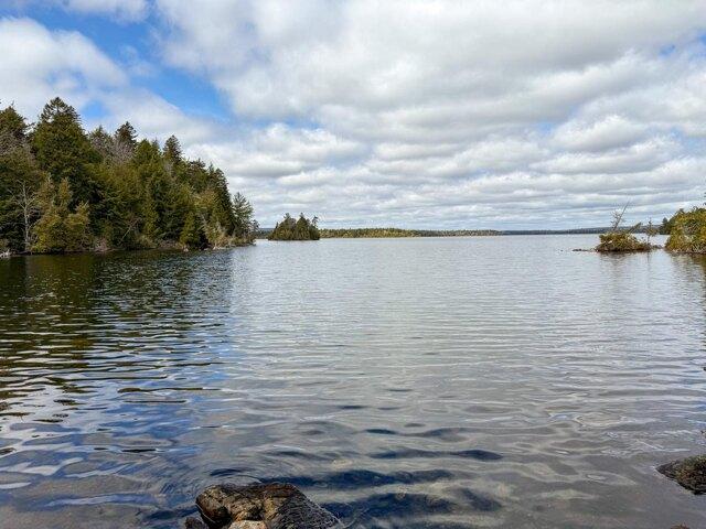 Smith Cove Rd, Cathance Township, Plot For Sale