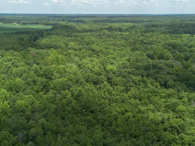 Smith Rd, Finger, TN 38334