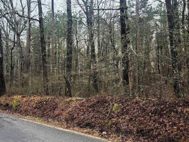 Smith Rd Lot 3, Rison, AR 71665